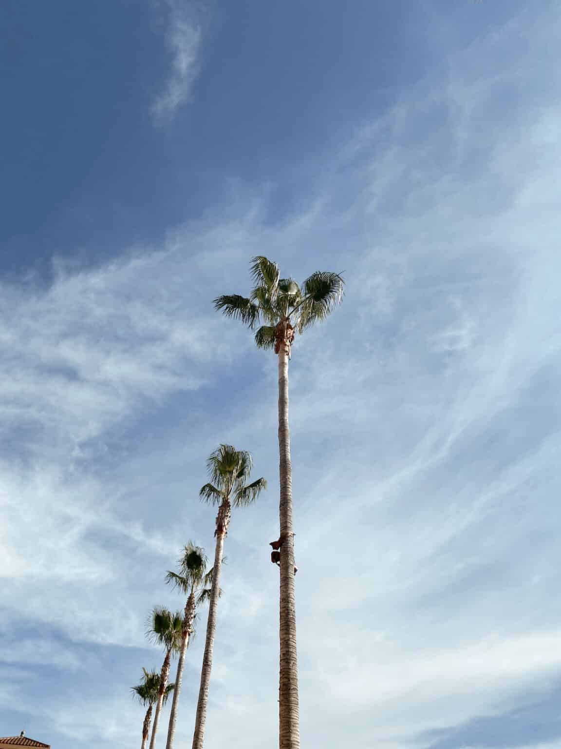 Winter Break Recap - posts from Shannon Pulsifer