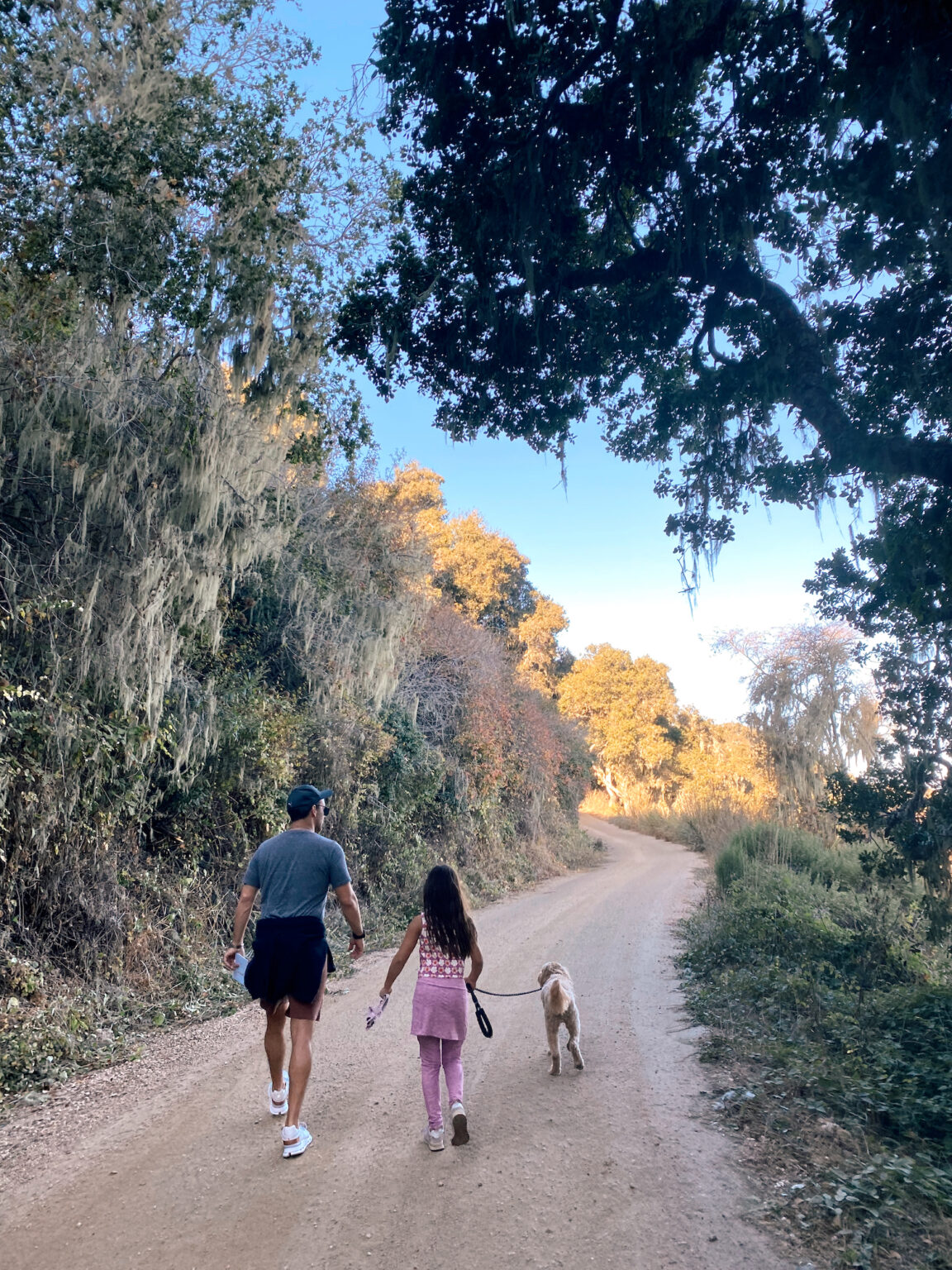 FALL IN CARMEL CALIFORNIA || Our Long Weekend Guide - Travel posts from ...